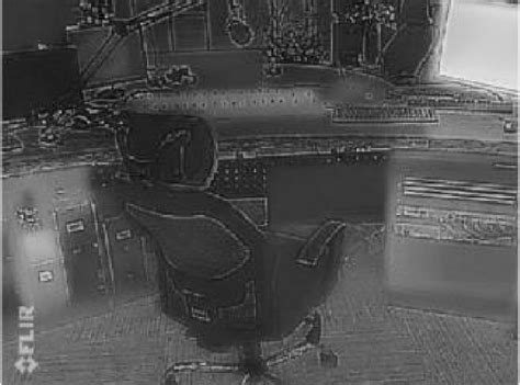 Raw Thermogram Captured By Flir One Thermal Camera Download Scientific Diagram