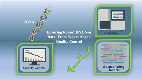Ensuring Robust Rna Seq Data From Sequencing To Quality Control