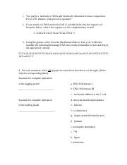 Understanding DNA Composition Replication And Translation Course Hero