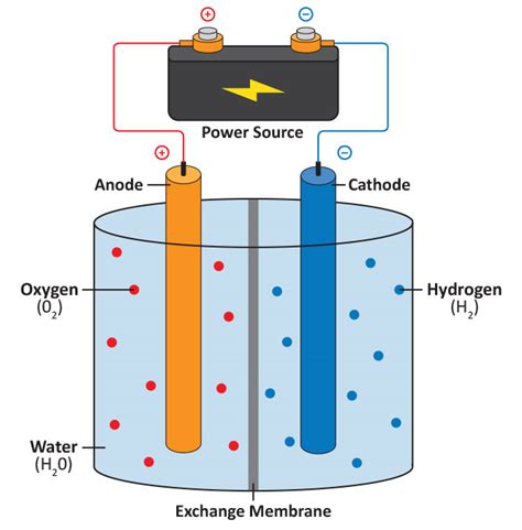History Of Electrochemical Cell At Randall Graves Blog