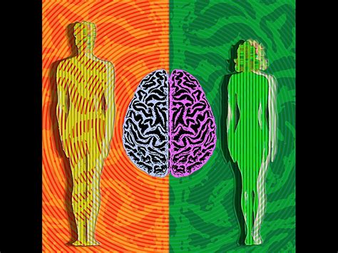 Sex Differences In Brain Tumor Metabolism Suggest The Need To Adapt Treatments Bioworld