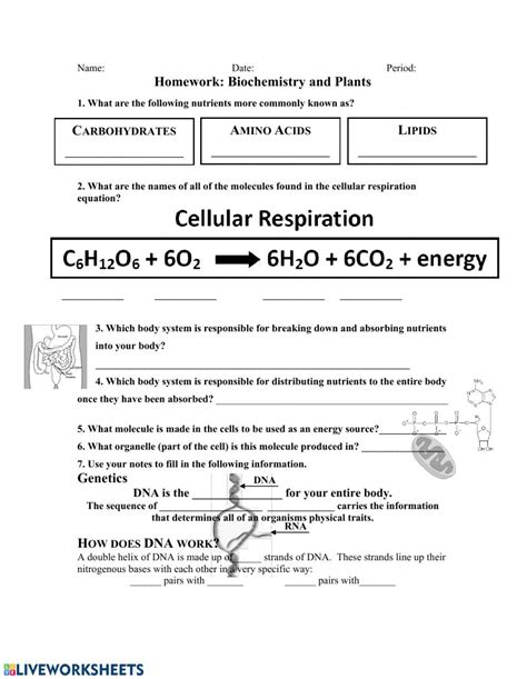 Ipc Biochemistry And Plants Worksheet Live Worksheets Worksheets Library