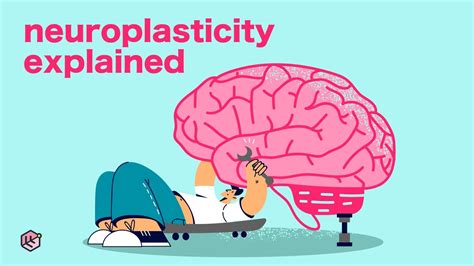 Plasticity Brain Restoring Brain Plasticity May Hold Key To Reversing
