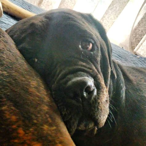 Edit Sophie My Big Beautiful Girl My Best Friend And Soul Mate