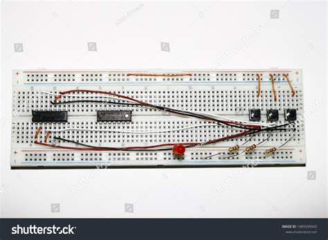Building Circuit On Breadboard Build Circuit Stock Photo 1985599043 Shutterstock