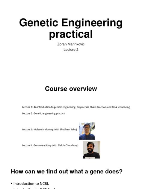 Lecture 2 Genetic Engineering Practical Final Pdf Open Reading Frame Gene