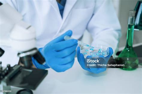 과학과 의학 과학자가 샘플을 분석하고 유리 제품에 떨어 뜨리고 유리 제품에 대한 실험실에서 화학 액체를 포함하는 실험 혁신 및 기술 Stem 주제에 대한 스톡 사진 및 기타