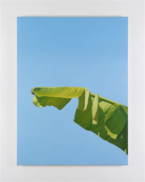 Marcel Vidal Artists Kerlin Gallery