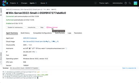 Build Agents Configuration And Maintenance Teamcity On Premises Documentation