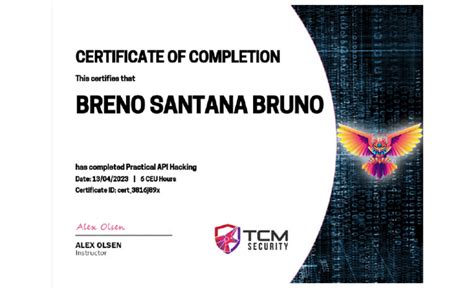 Certificate Of Completion For Practical Api Hacking Pdf