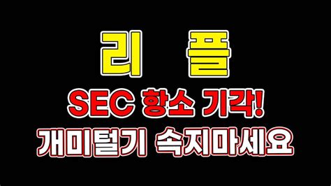 리플 Sec 항소 기각 개미털기 속지마세요 리플코인 리플전망 코인추천 트레이더메타 Youtube