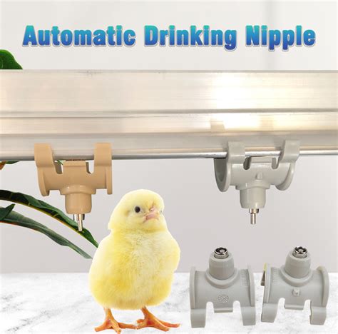 Ph 158 Chicken Nipple Drinker Buy Ball Valve Nipple Drinker Chicken