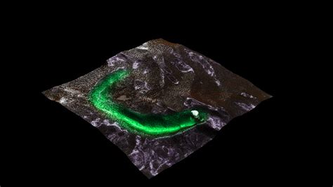 Procedural Dynamic Mask Geometry Nodes Demo Finished Projects