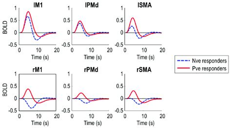 Predicted Bold Responses From The Left Driving Dcm These Responses Download Scientific Diagram