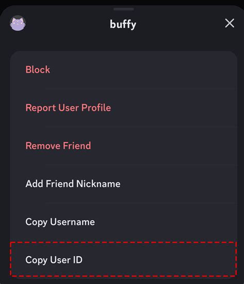 Where Can I Find My User Server Message ID Discord