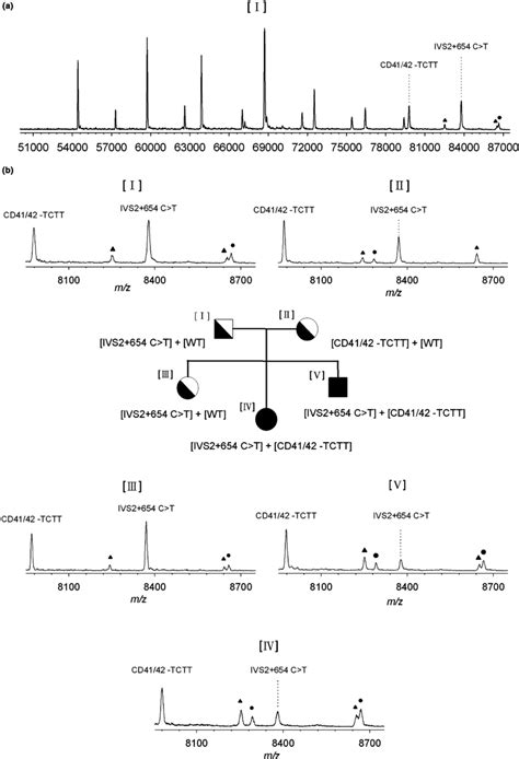 Genotyping Of Hereditary B Globin Hbb Gene Mutations In A Core Download Scientific Diagram