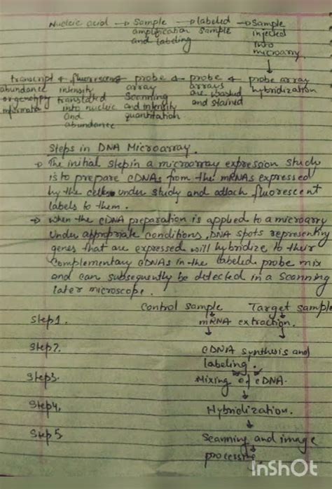 🧬dna Microarray Youtube