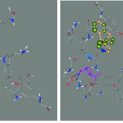 The Analysis Of The Gene The Analyzed Gene Is Butyrylcholinesterase On Download Scientific