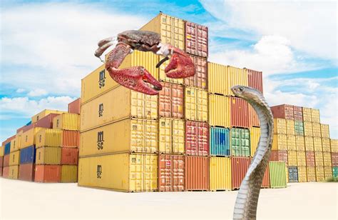 Towards Data Science On Linkedin Python To Rust Everything You Must Know About Virtual