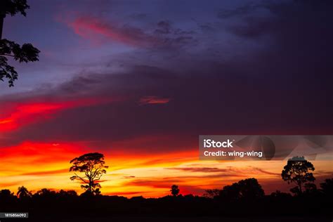 그라디언트 오버레이 오렌지 일몰 일출 파스텔 Sof 효과 배경 패턴 추상 텍스처 디자인 여름 자연 봄 빛 아름다움 봄 템플릿 모형 노란색 색상 벽지 열대 다채로운 0명에