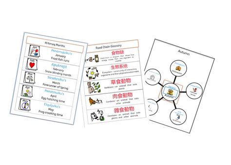 Widgit Online Quick And Easy Visuals In A Classroom Setting Bridges