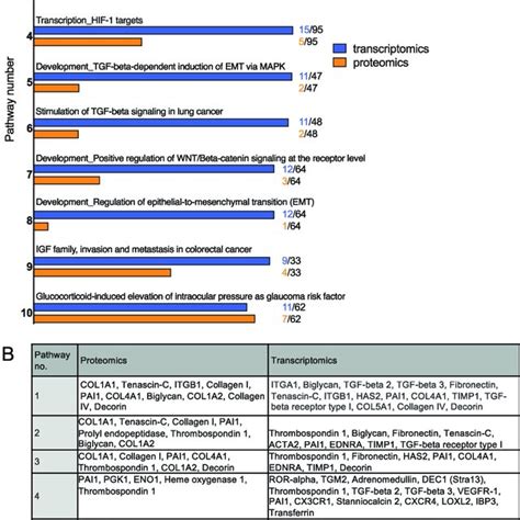 Comparable Picture Of Pathway Activation Between Transcriptomic And