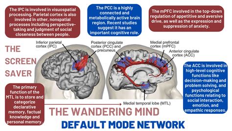 Default Mode Network Salience Network Central Executive Network Jane Leu Rekas Lcsw