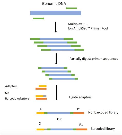 Complete Guide To Ion Ampliseq Technology How Does Ion Ampliseq Technology Work Behind The