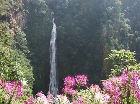 ข่าว Like สาระ ชวนเที่ยวขุนยวมชมทุ่งดอกบัวตองบานบนดอยแม่อูคอ น้ำตกแม่สุรินทร์