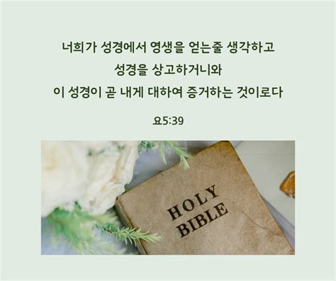 빛을 좇는 사람들 📖말씀 묵상 📖 너희가 성경에서 영생을 얻는줄 생각하고 성경을 상고하거니와 이
