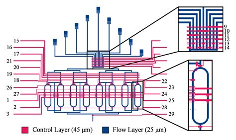 Video A Multilayer Microfluidic Platform For The Conduction Of