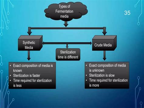 Bioprocess And Fermentation Technology Pdf Biological Sciences Science
