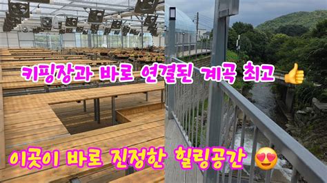 이곳이 진정한 힐링공간 아닐까요 키핑장과 계곡의 만남 이런곳이 있다니 😍😍😍 다육이 키우며 행복하기만 하세요 최신시설 최고환기 키핑장 계곡 오드리다육 Youtube