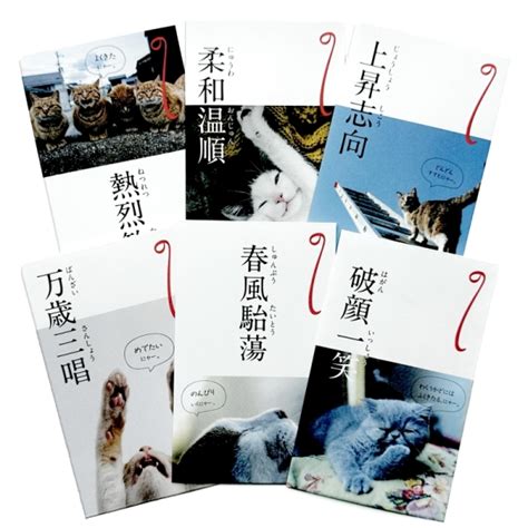 フタバ、大ヒット写真集『にゃんこ四字熟語辞典』のカレンダーなど各種グッズ ペトハピ Pet×happy