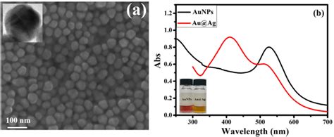 A Sem Image Of As Prepared Auag Core Shell Nanoparticles The Inset Download Scientific