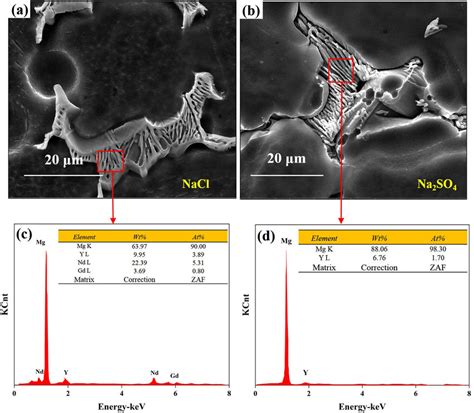 High Magnification Sem And Corresponding Eds Of Corrosion Morphologies