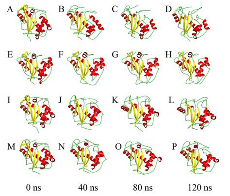 Three Dimensional Structures Of Rnase Le A D S Rnase E H Rnase