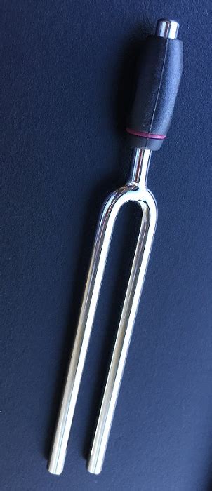 The Tuning Fork Application COMSOL Blog