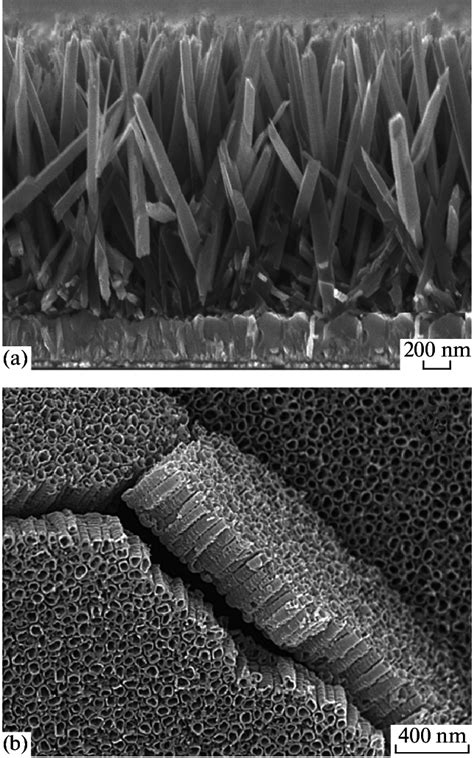Ordered Tio 2 Nanorods A And Nanotubes B Used As Photoelectrodes Download Scientific