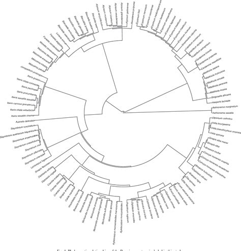 Figure 1 From Part Of A Special Issue On Developmental Robustness And