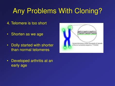PPT REPRODUCTIVE CLONING PowerPoint Presentation Free Download ID