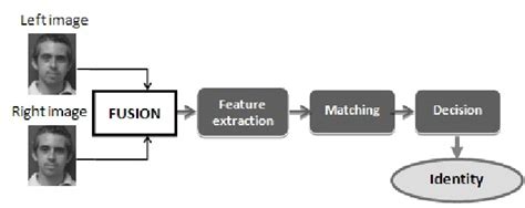 Figure 7 From Multi Biometric Face Recognition System Using Levels Of