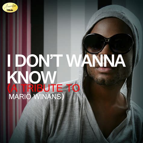 Mario Winans I Don T Wanna Know Imvdb Off