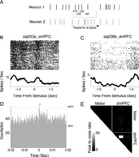 4 Cross Correlation Analysis Between Neurons In Multi Electrode Data