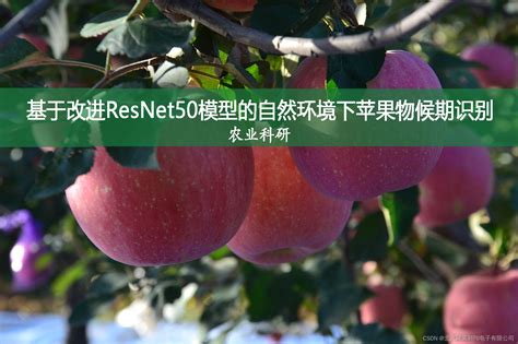 基于改进resnet50模型的自然环境下苹果物候期识别 Csdn博客