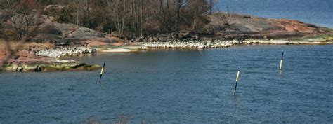 Spatio Temporal Dynamics Of Coastal Water Properties Fluvial And Coastal Research Group