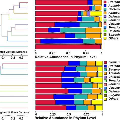 Upgma Cluster Tree A Based On Weighted Unifrac Distance B Based