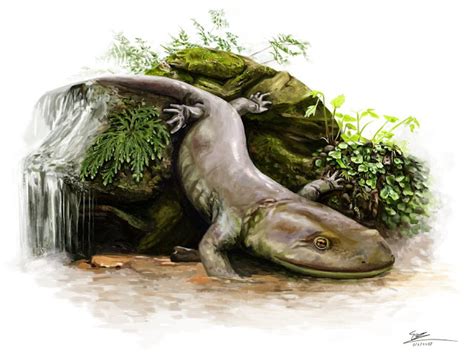 Skeptophilia Peculiarities Of The Past