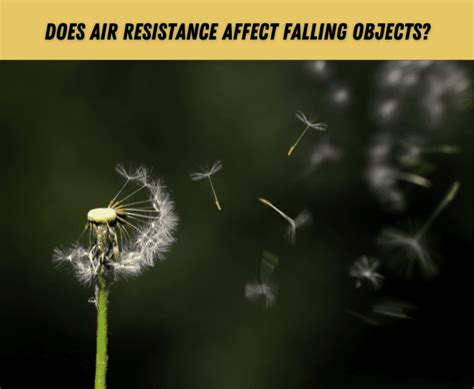 How Does Air Resistance Affect Falling Objects Facts
