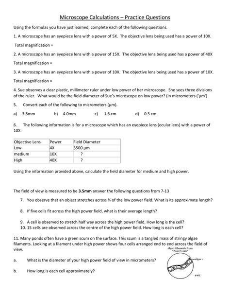 Microscope Questions